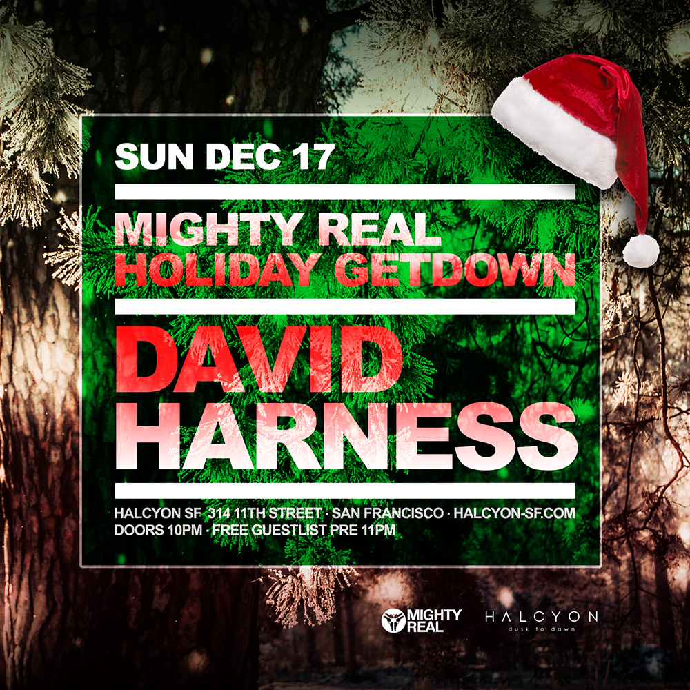 Dec 17 – David Harness at Halcyon