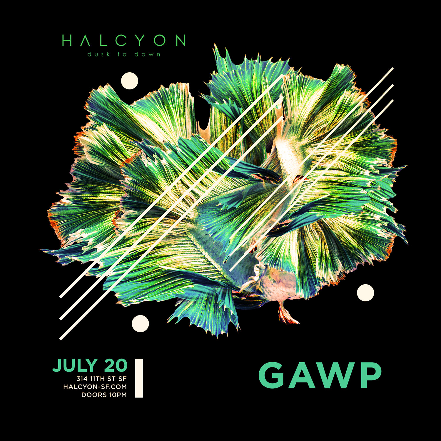 Sat July 20 – GAWP
